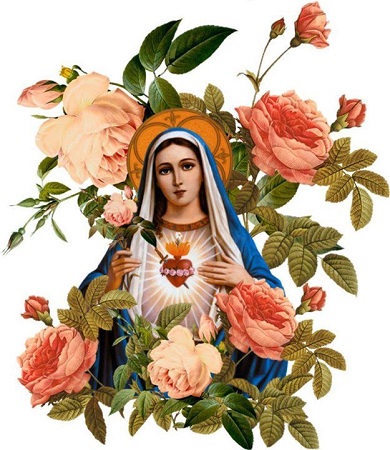 PARROQUIA SAN PEDRO APÓSTOL DE CALASPARRA: MES DE MAYO, MES DE LA ...