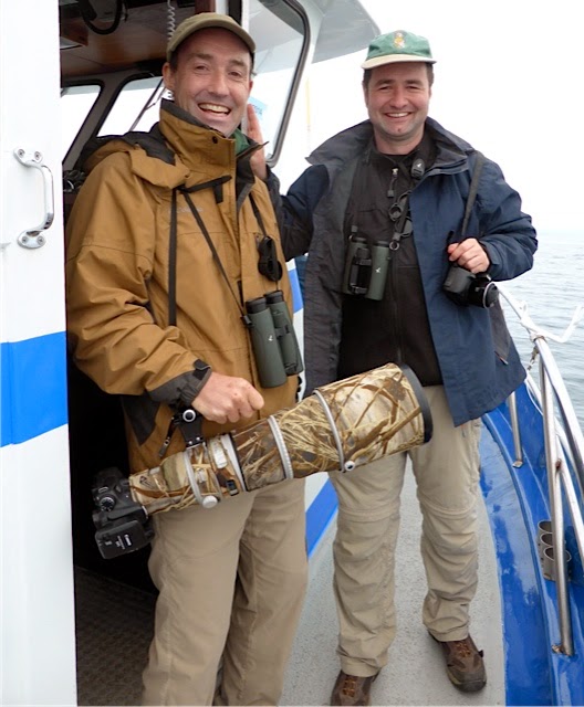 Debi Shearwater's Journeys: HALF MOON BAY PELAGIC TRIP JUMPING WITH ...