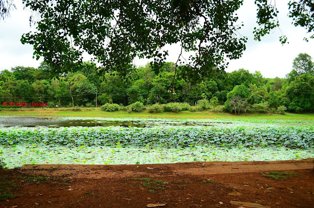 Sharath Hassan A Travelling Photographer: Sode vadiraja mutt (sonda ...
