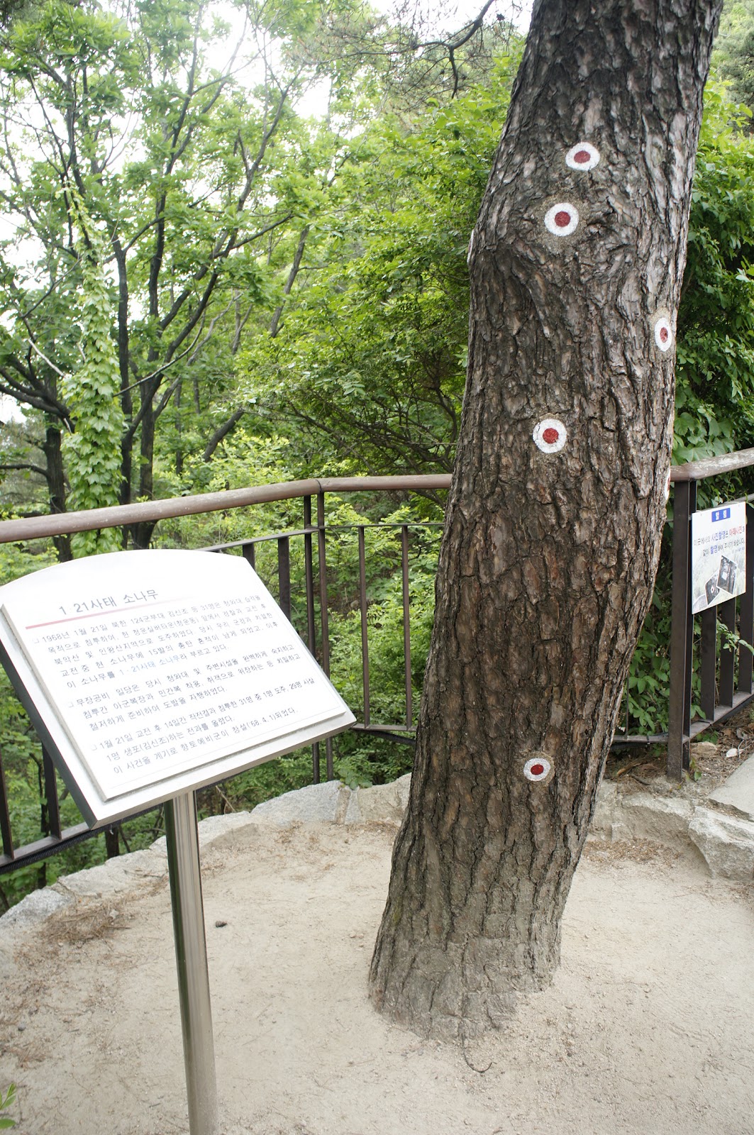 Seoul Fortress Wall of Bugaksan - Rika Safrina