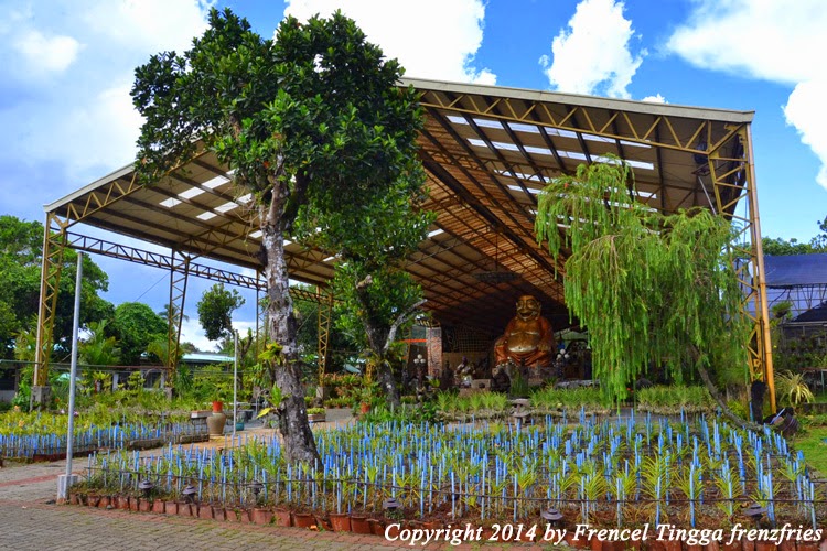 Frenz Fries: Yoki’s Farm in Cavite