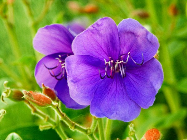 Every Day Is Special: March 3 – Princess Day