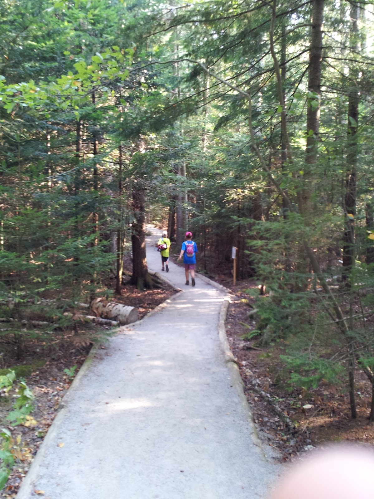 ADIRONDACK HIKES: Mt. Jo