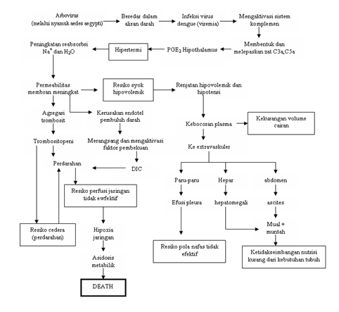 LAPORAN PENDAHULUAN DENGUE SYOK SYNDROM (DSS) - I'm Nurse