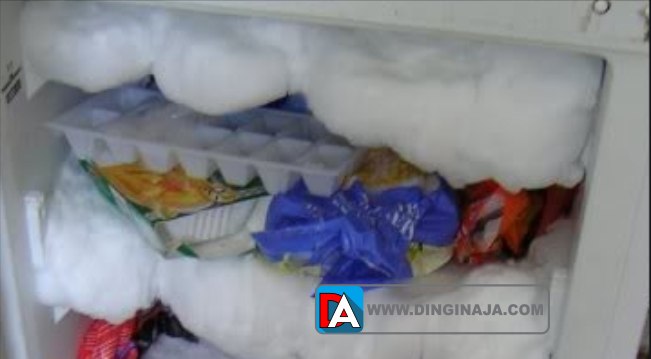 » Penyebab dan Bagaimana Cara Mengatasi Bunga Es pada Kulkas | Dinginaja