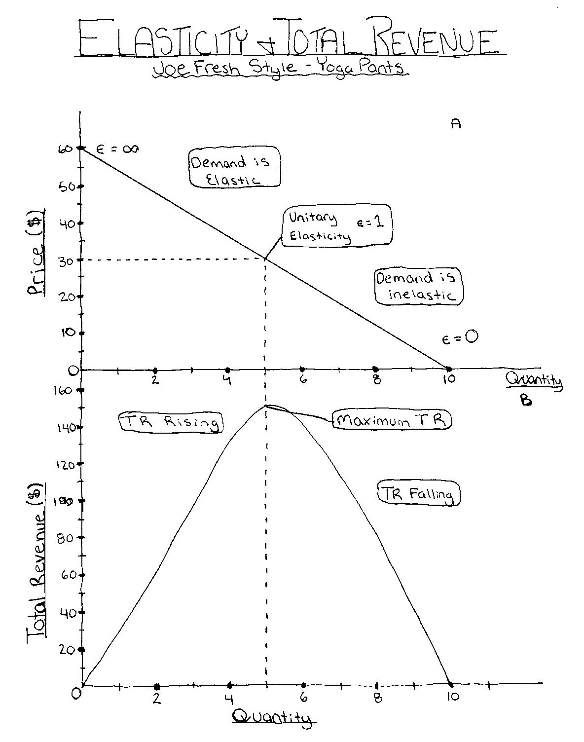 Microeconomics with Janae: Elasticity and Revenue