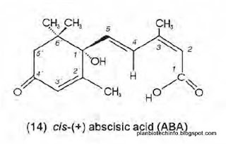 Plant Biotech: Abscisic Acid (ABA)