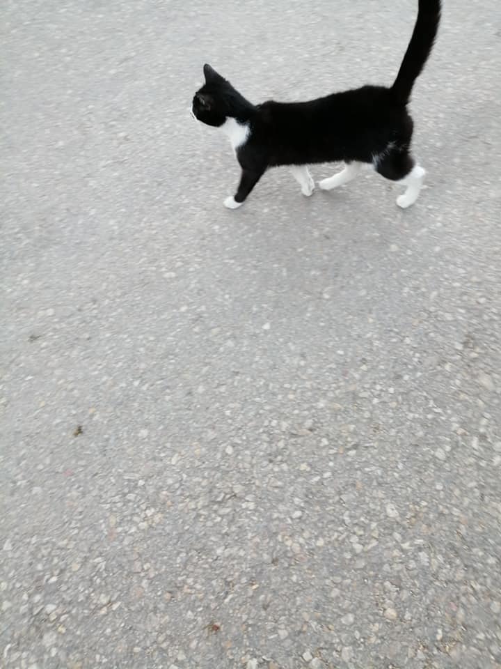 KORANA............ file:///F:/Yeni%20kitaplar%C4%B1m%C4%B1z%20N%C3%87 ...