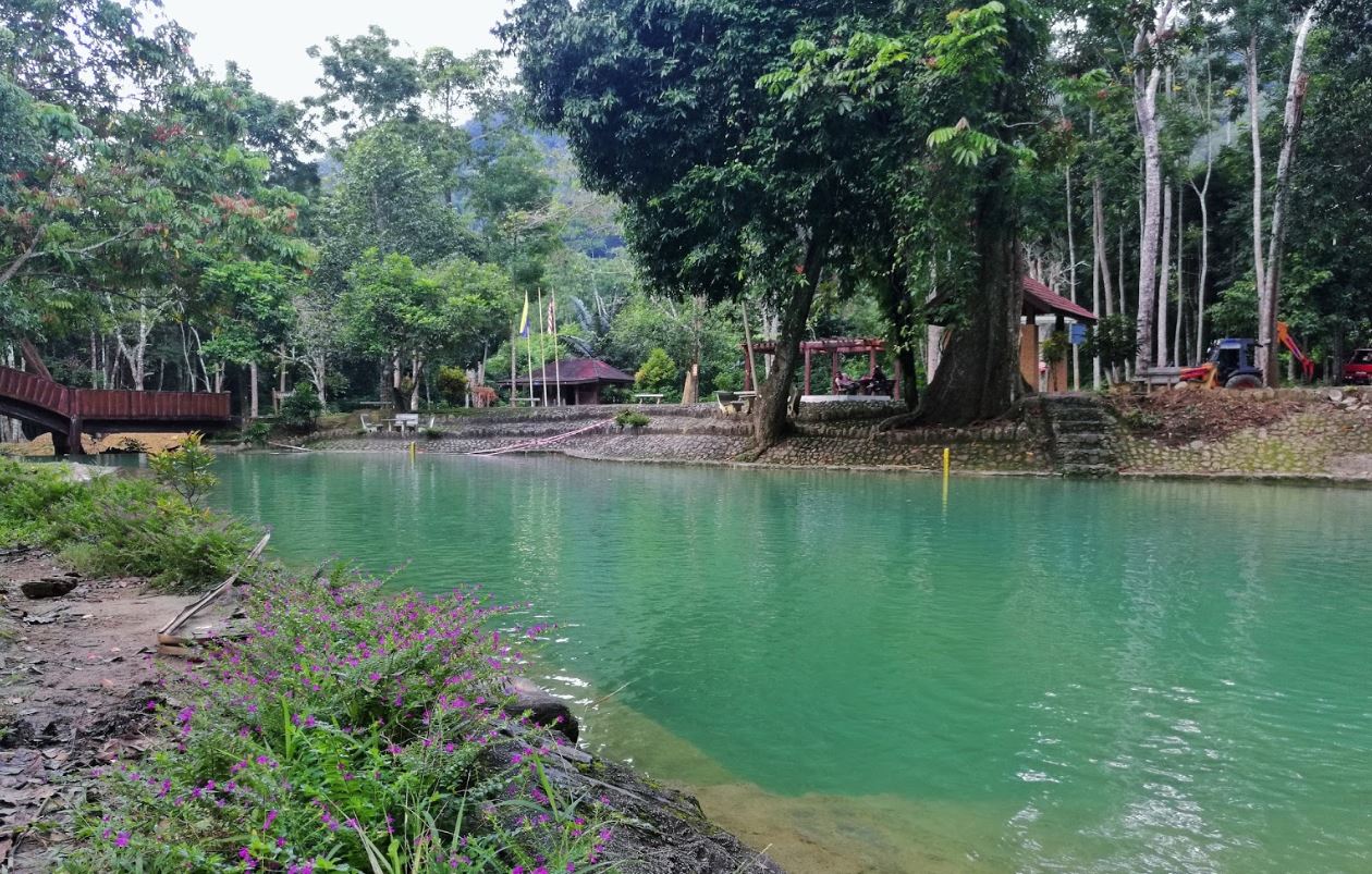 Jungle Tracking (Perlis State) - Malaysia Track