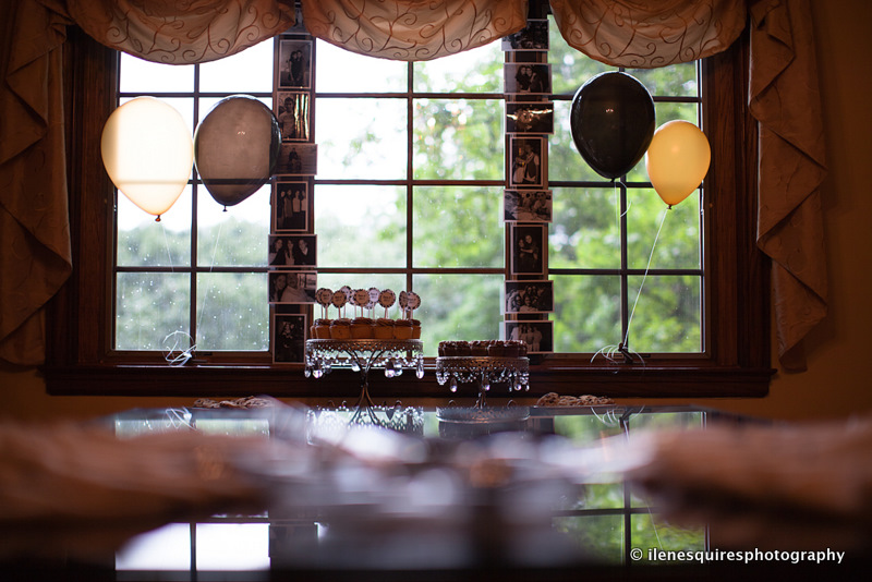 Ilene Squires Photography: Staten Island Technical High School Prom ...