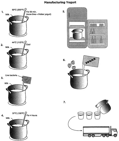 IELTS Graph # 1 - The diagram shows the steps for manufacturing yogurt ...