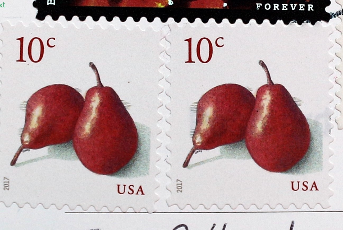 Mail Adventures: Sunday Stamps | Fruits