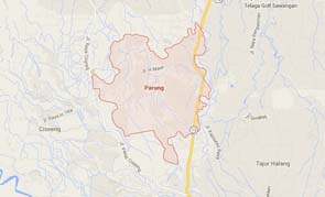 Tukang Taman Parung Murah Dan Profesional | Tukang Taman Bogor