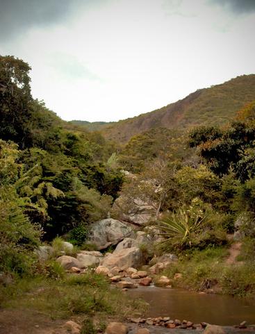 Bitácora y Memorias // Blog et Mémoires: Capacho - Libertad, Táchira
