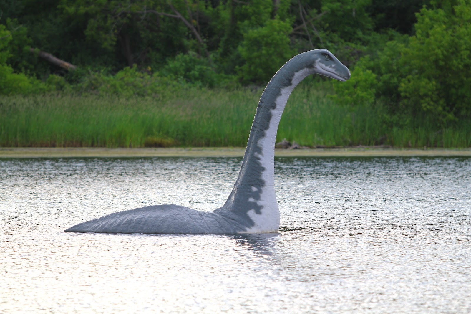 Loch Ness Monster: Facts About Nessie