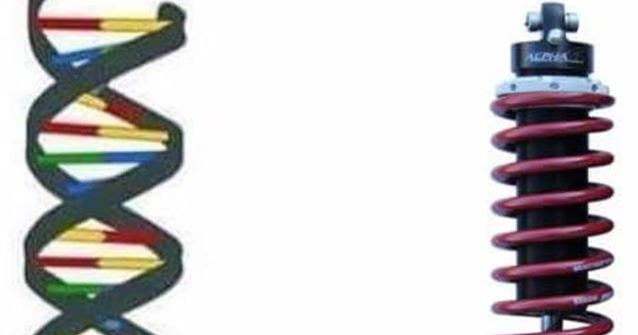 Just A Car Guy: normal DNA, vs Car Guy DNA