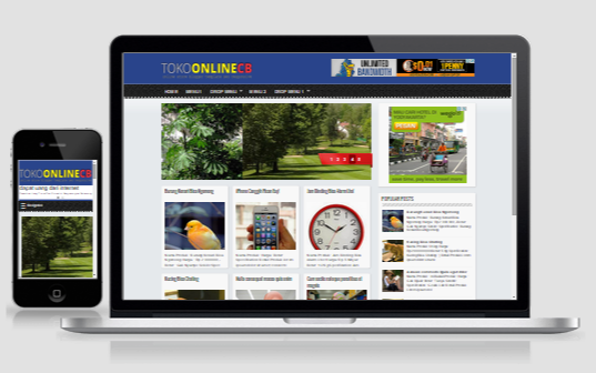 Apa Saja yang Harus Ditampilkan di Halaman Depan Blog? > Contoh Blog