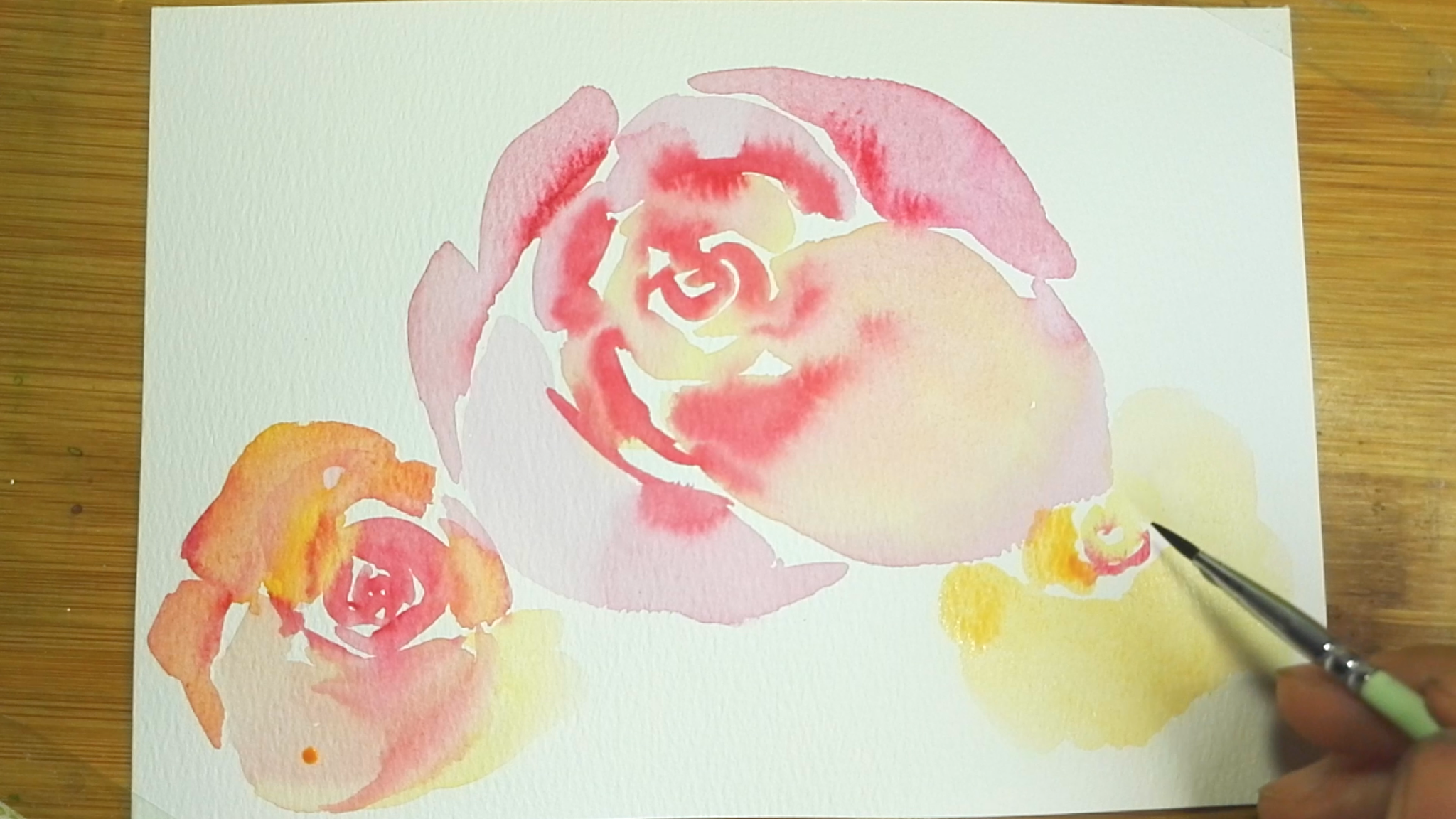 How to draw watercolor roses step by step tutorial easy