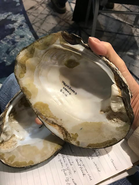 Window on a Texas Wildscape: Texas mussels