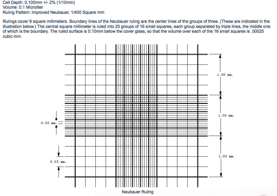 Open Notebook: Hassusser hemocytometer, Brightline