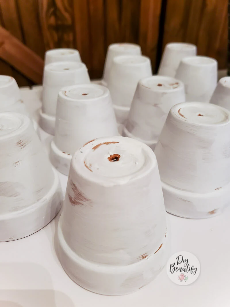 French Inspired Seedling Pots - DIY Beautify - Creating Beauty at Home