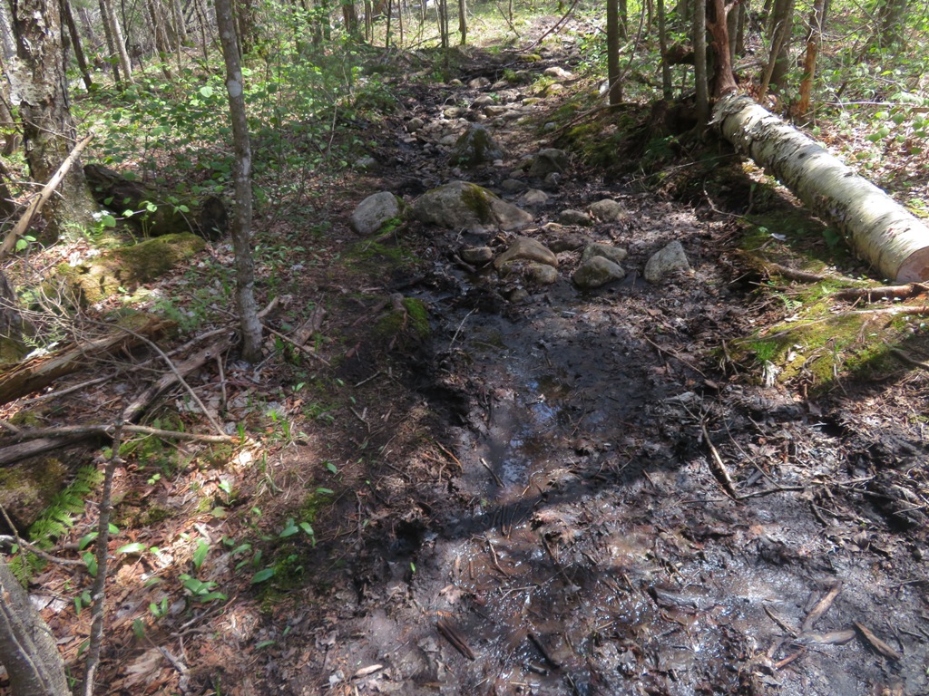 Mountain Wandering: Adirondacks: Cooper Kiln Pond & Morgan Mountain 5/20/21
