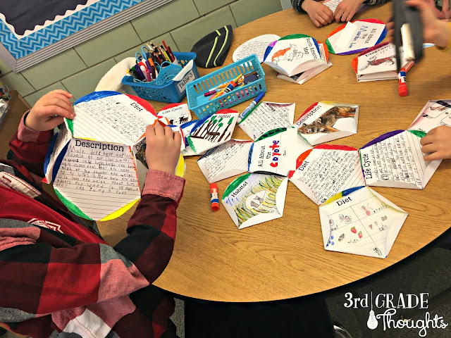 Dodecahedron Research Projects | 3rd Grade Thoughts