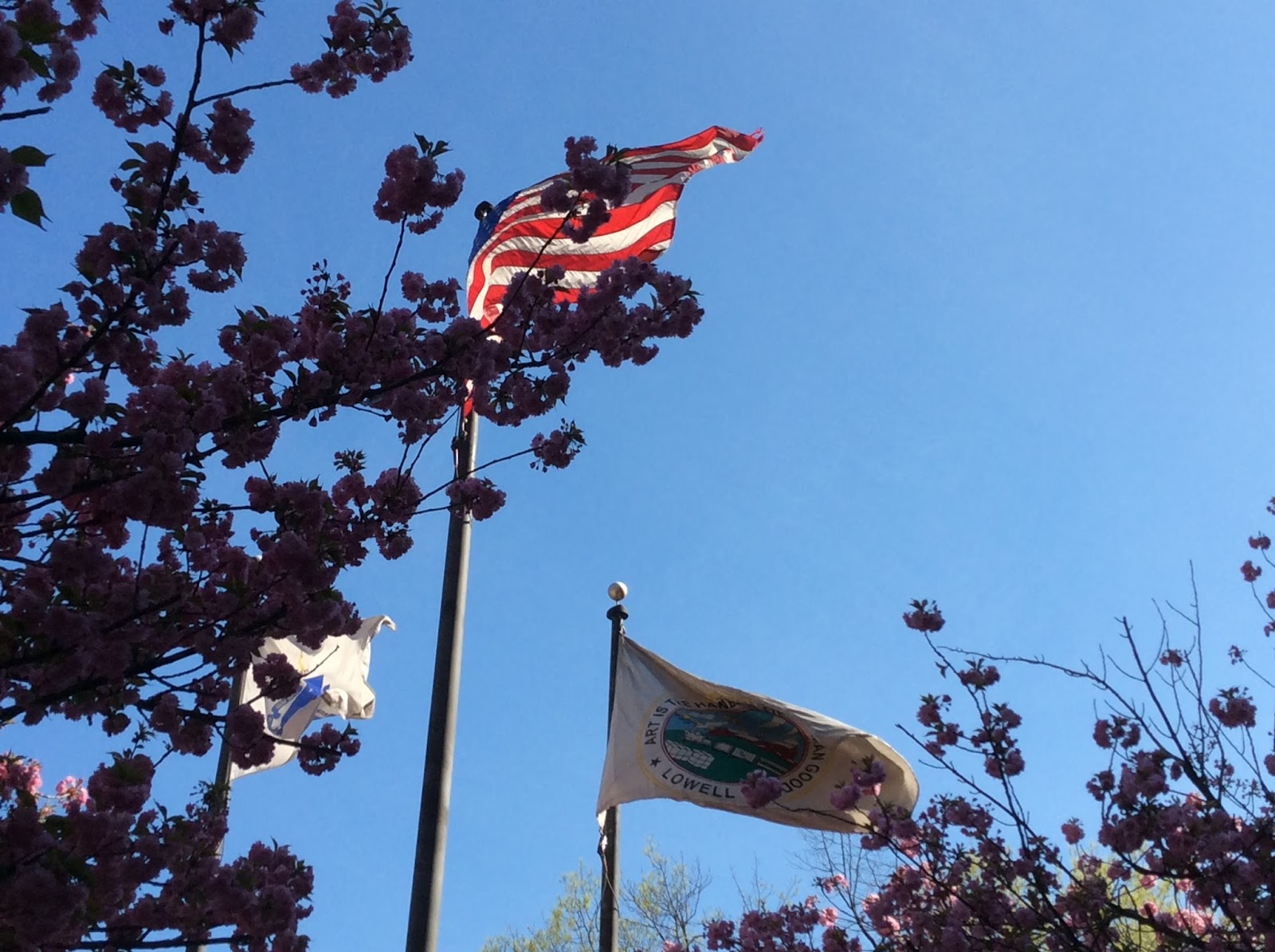 Life From The Roots: The City Seal Forowell, Massachusetts