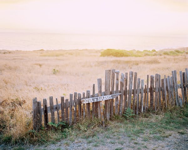 Leo Patrone Blog: Joya and Harris - Sea Ranch, California...
