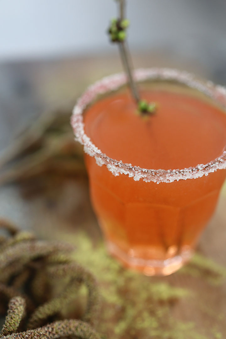 66 Square Feet (Plus): Drink the season