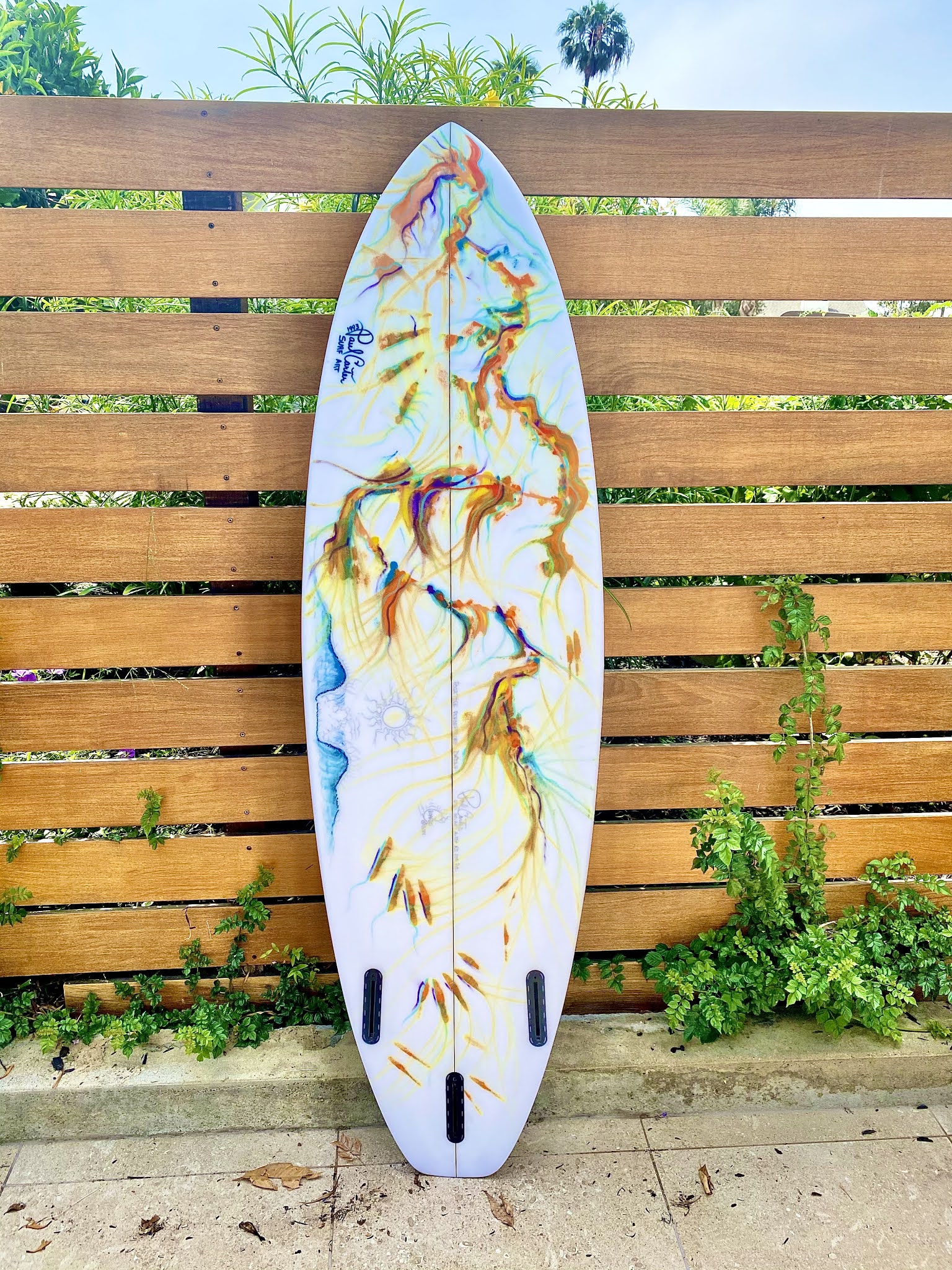 Surfer-Shaper-Artist : New boards & art Paul Carter