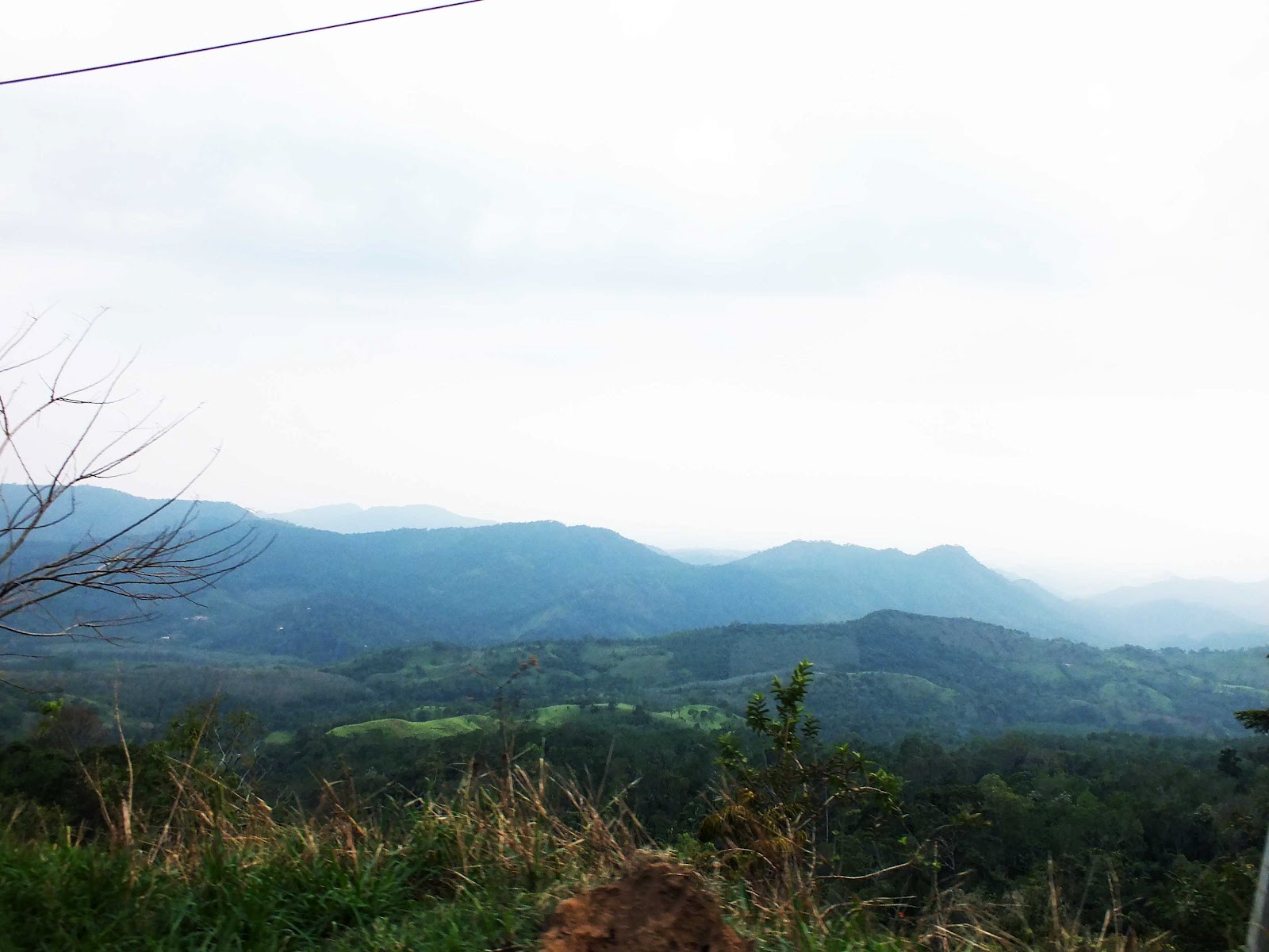 philipveerasingam: Scenery on the Koslanda - Beragala road, Sri Lanka.
