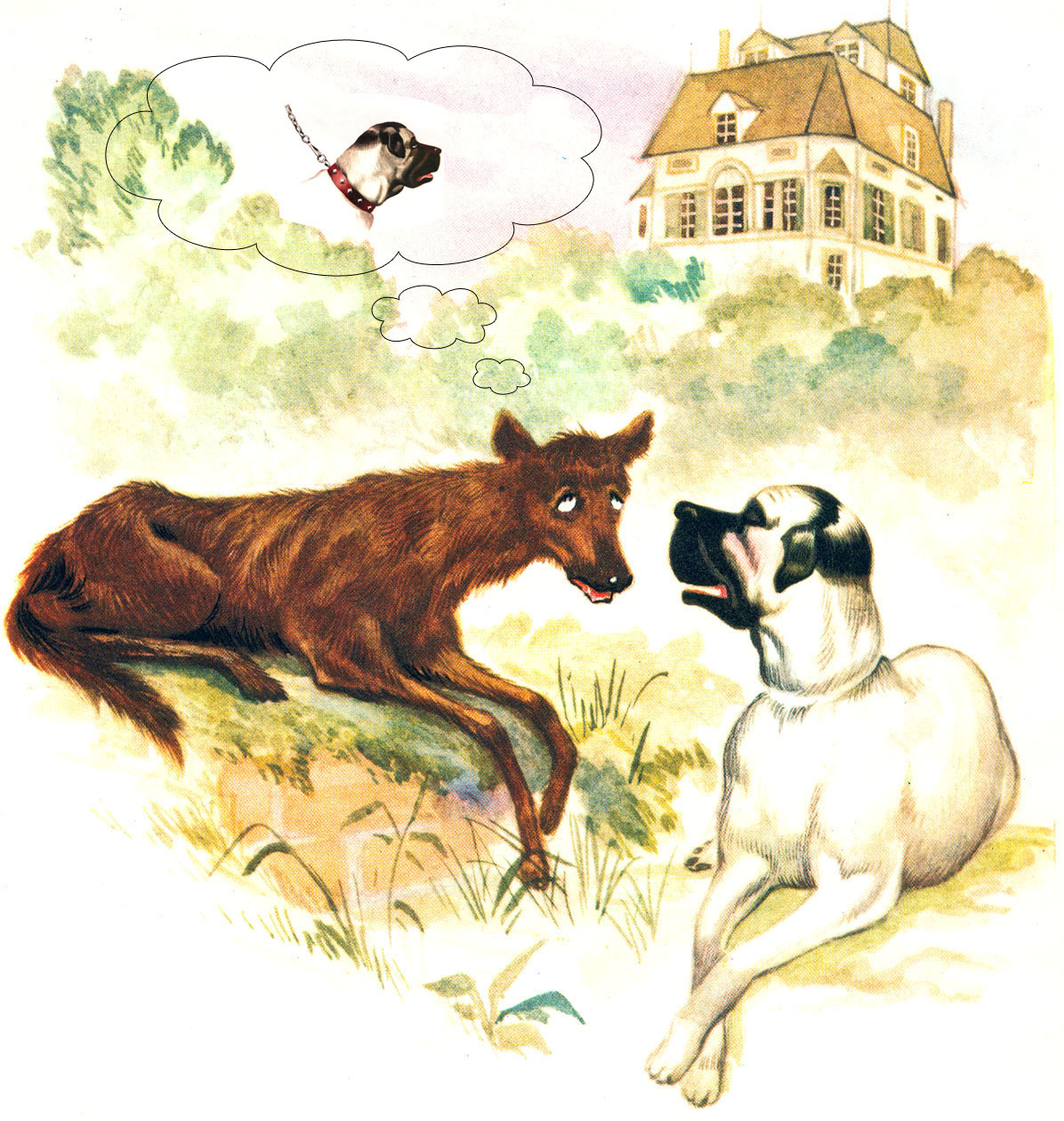 BASNE za Vasju: PASJA ROĐAČKA PRIČA