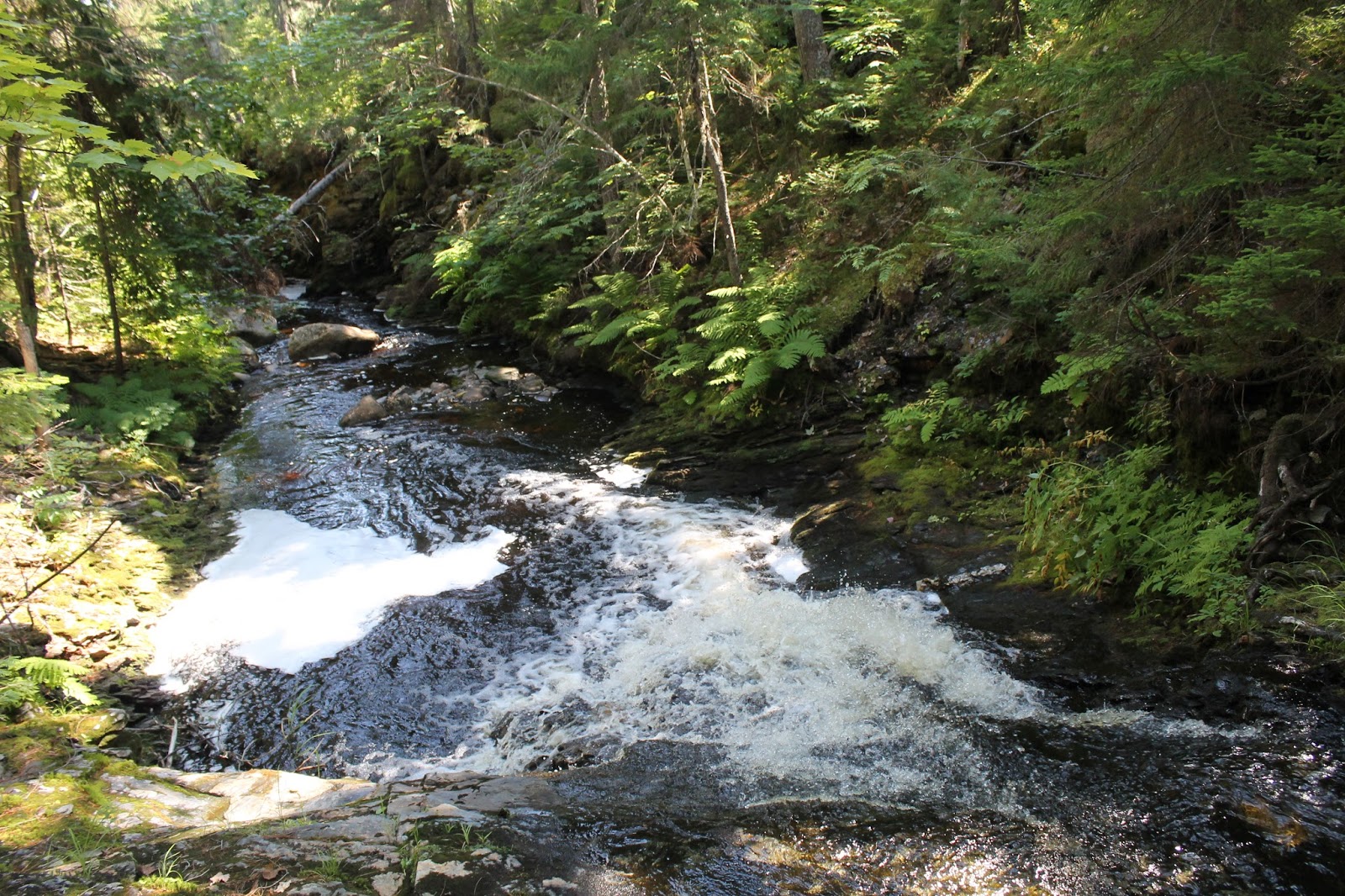 Explore Miramichi With Me: Things to Do: Little Sheephouse Falls