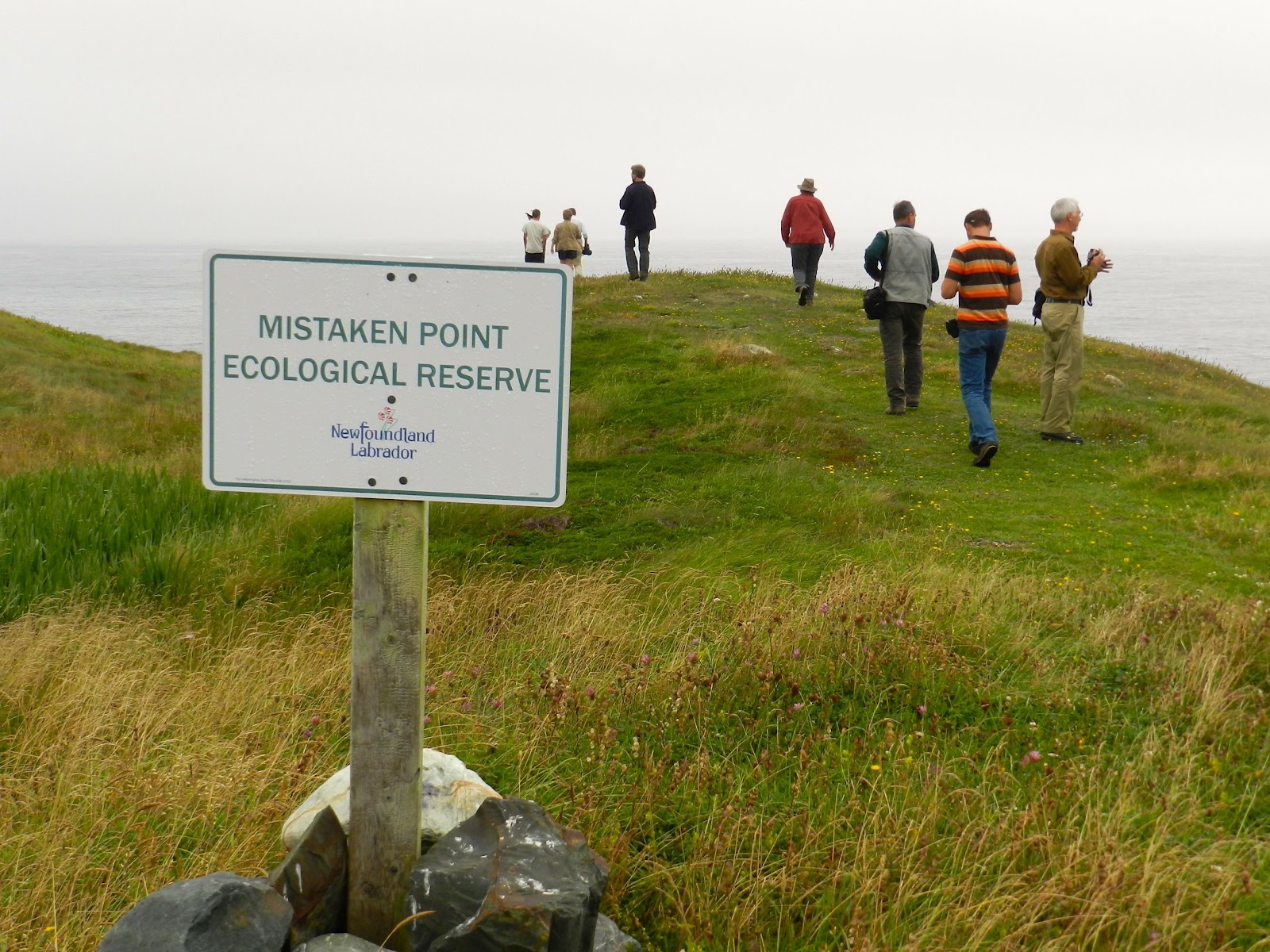Coffee With Hallelujah: MISTAKEN POINT ECOLOGICAL RESERVE: THE MOST ...
