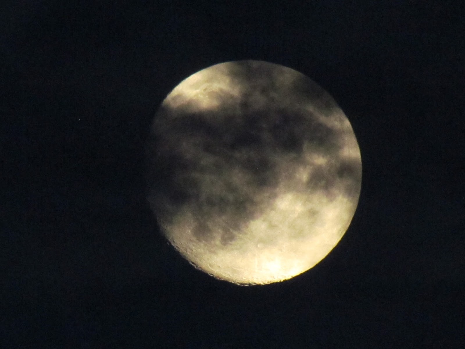 Ranch Riding: Cool Moon Pics