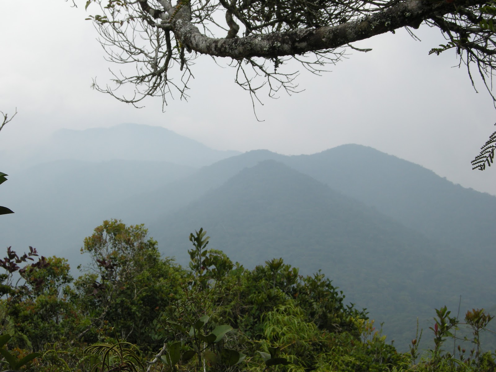Mount Yong Belar - Alchetron, The Free Social Encyclopedia