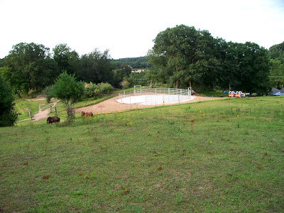 Must love mustangs!: Round pen almost done!
