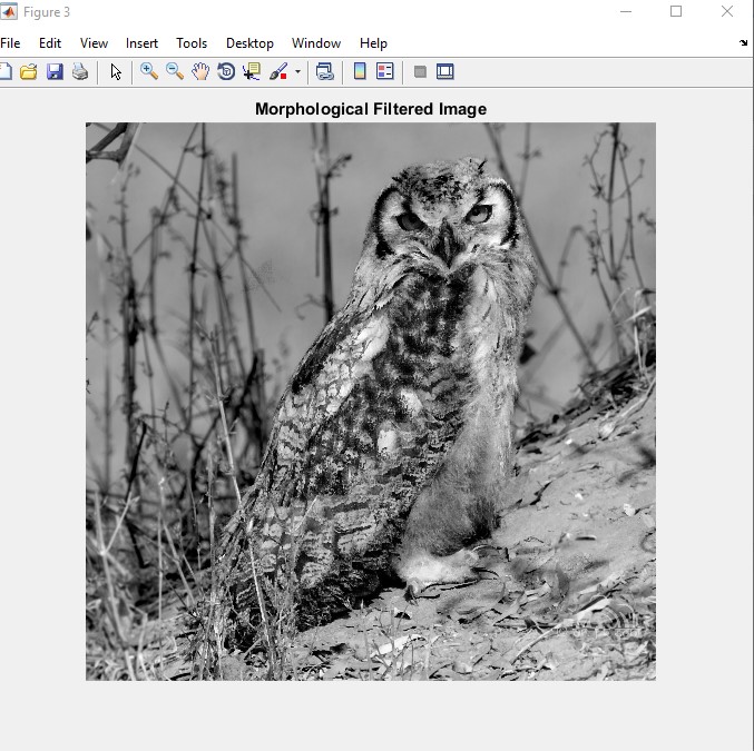 Morphological Filtering | Digital Image Processing | MATLAB with code ...