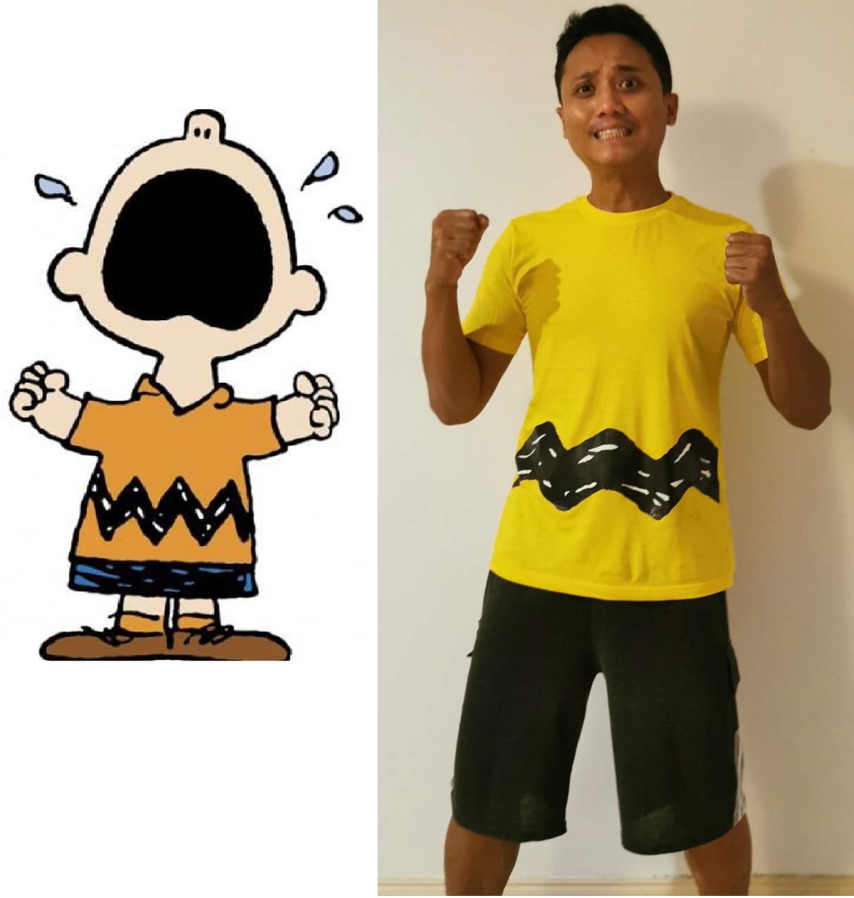 You're a Good Man, Charlie Brown! | My Logbook on Continuous Learning ...