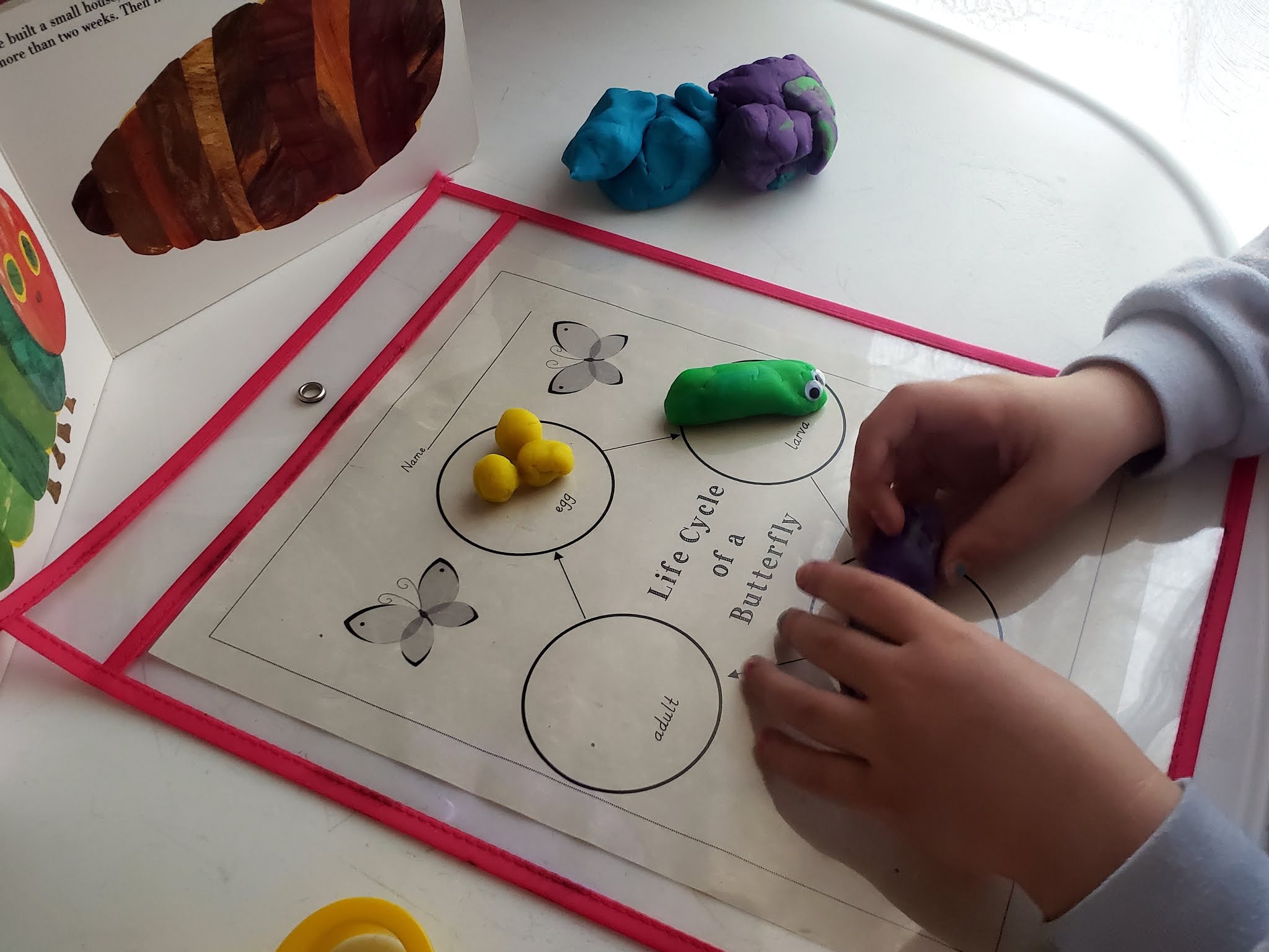 Mom's Tot School: Preschool: Caterpillars + Butterflies