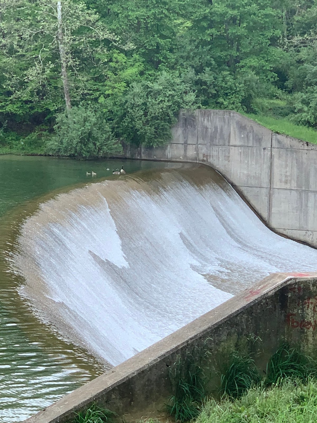 The Spillway