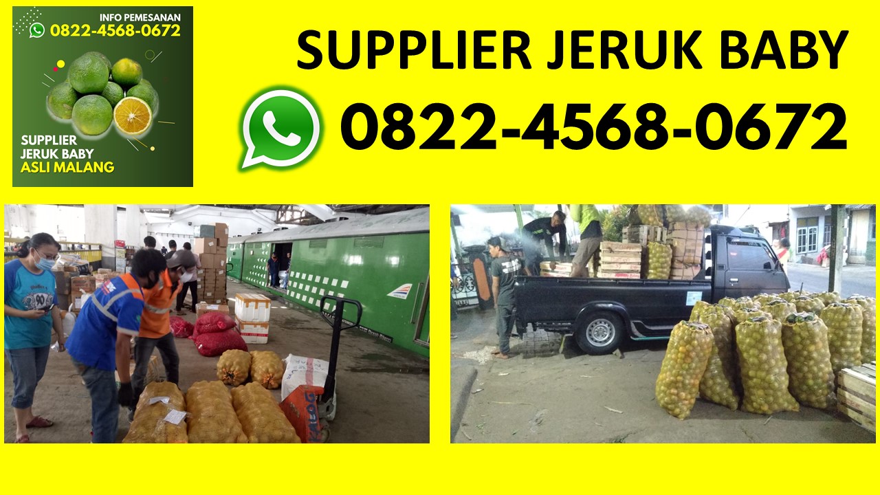 Supplier Jeruk Baby Java | 0822 4568 0672: 2020