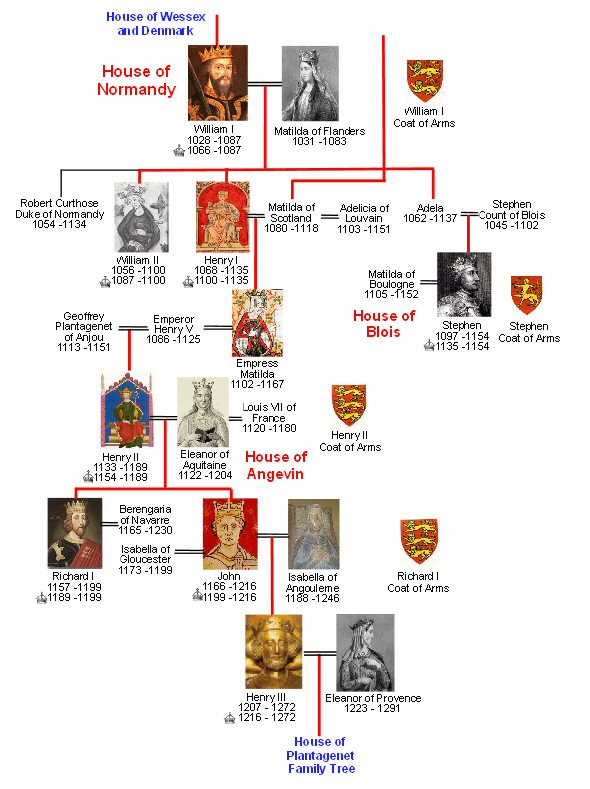 FROM THE PAST WE CAME: ROYAL TREES