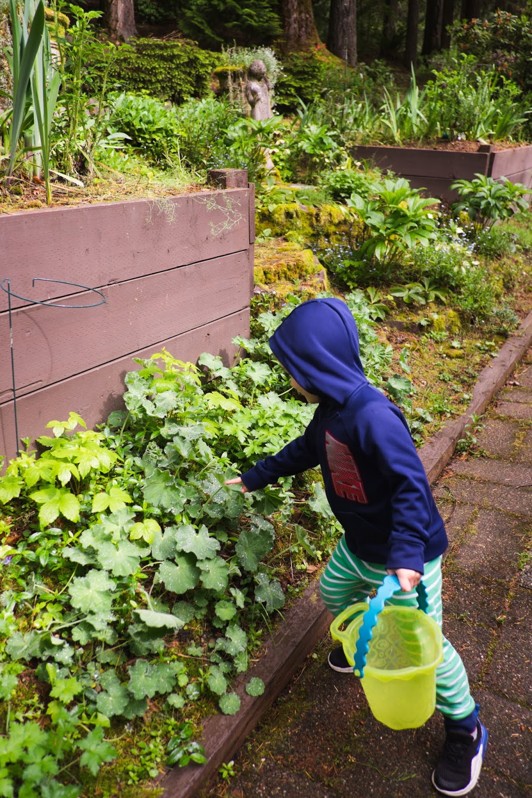 Domestic Fashionista: The Great Outdoors: Preschool Lesson Plan