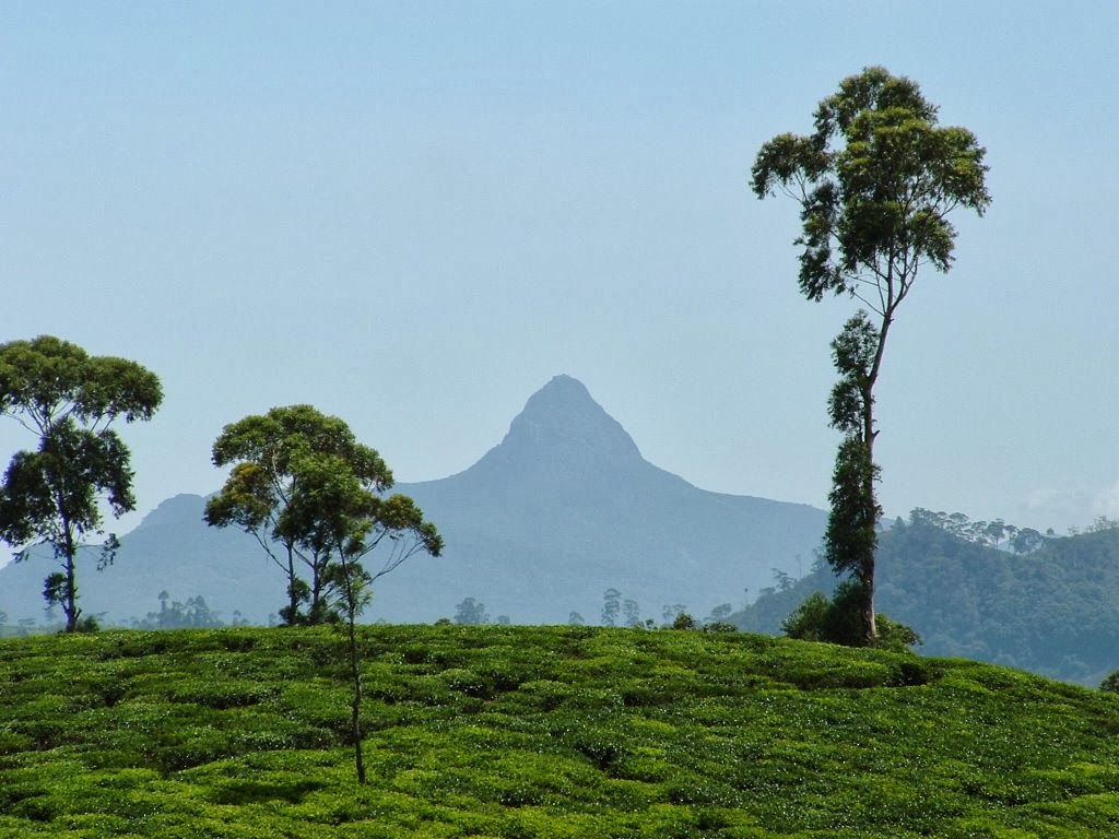 AbiTravels: Sivanoli paatha malai