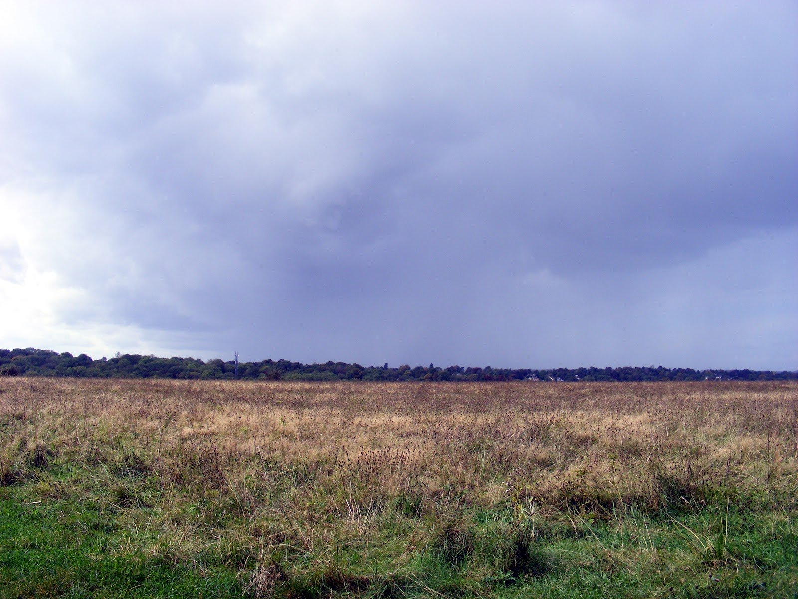 TheLondonLoop: London Loop-Hamsey Green to Banstead 3rd October 2012