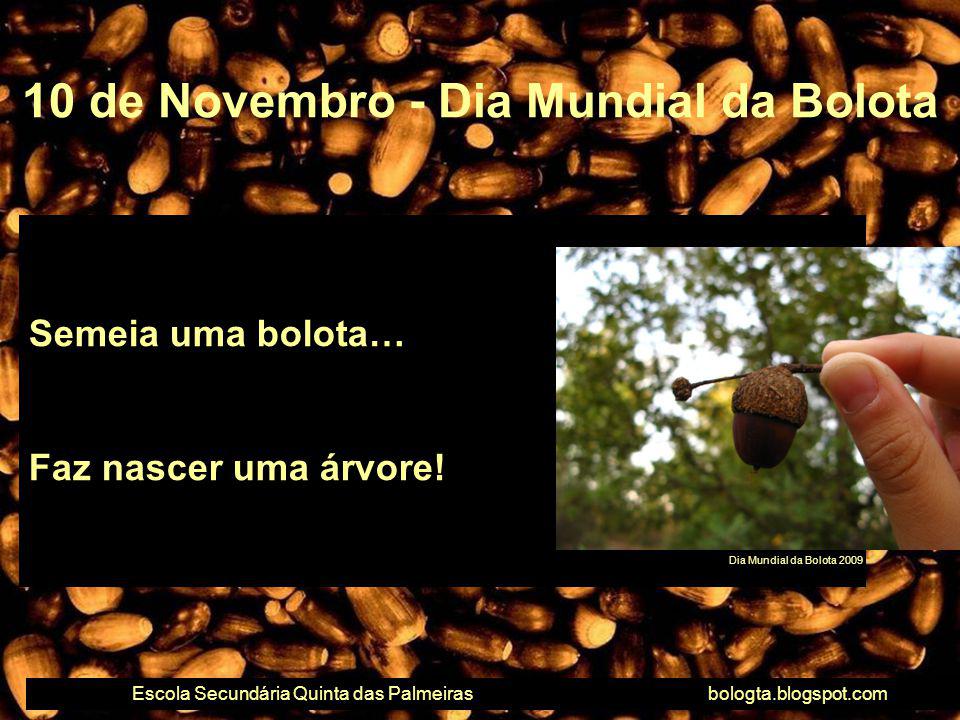 DALVA DAY: * 2016 - Dia Mundial da Bolota DALVA DAY: * 2016 - Dia Mundial da Bolota