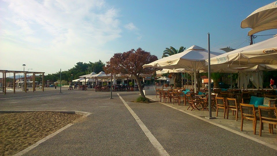 ΝΙΚΗΤΗ ΧΑΛΚΙΔΙΚΗ