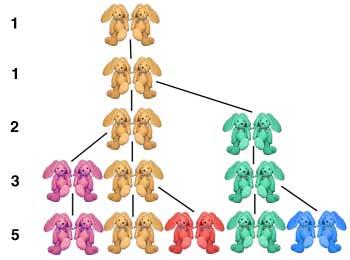 Fibonacci, Flower of Life & Junior High School - Sunrise | The Sun Times
